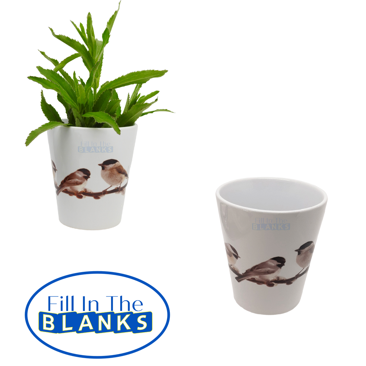 Plant Pot – Fill In The Blanks Supply Canada